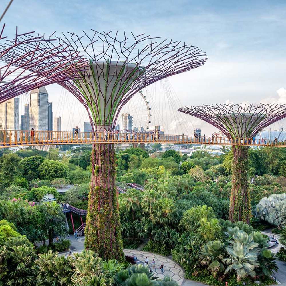 Book your trip | Clipper Stad Amsterdam