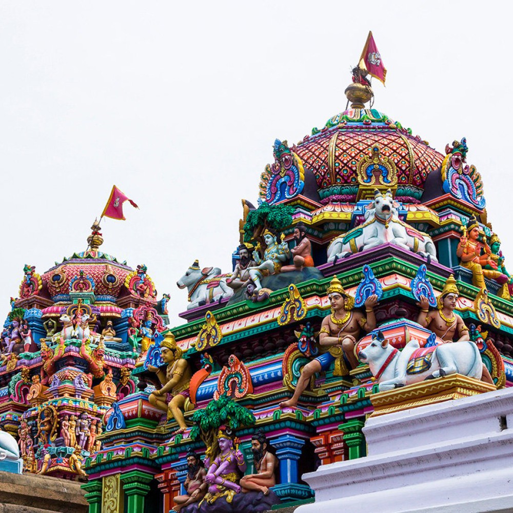 Book your trip | Clipper Stad Amsterdam